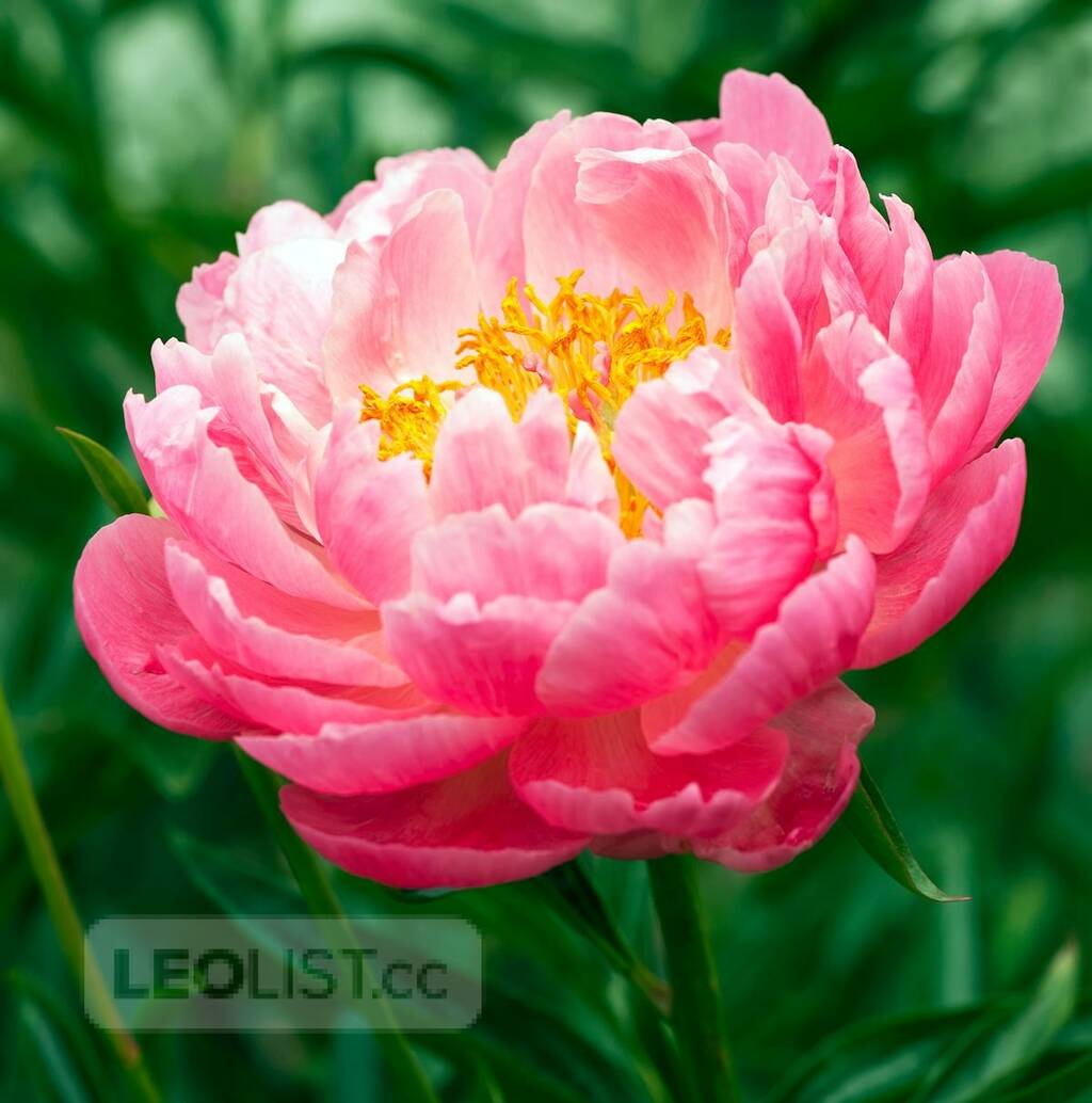 BUSY SPA HIRING FEMALE ATTENDANTS OF ALL NATIONALITIES! | Scarborough ...