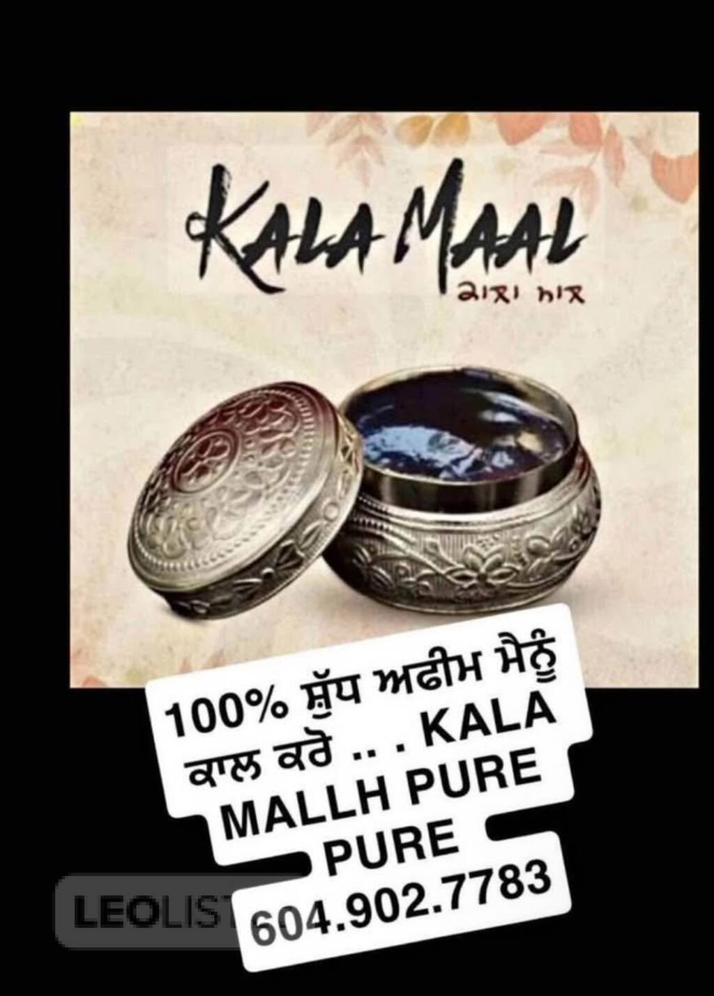 FEEM… FEEM… FEEM | Fraser Valley | Metro Vancouver | Female Escorts | LeoList