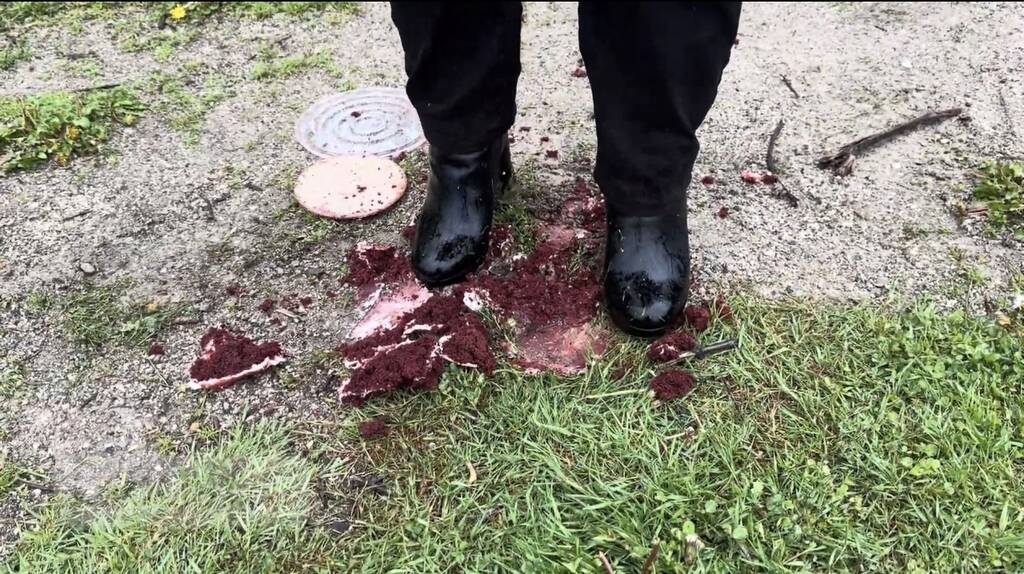 FEMALE MODELS FOR CONTENT CREATION - CRUSHING VIDEOS | Scarborough ...