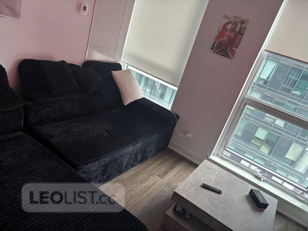 Luxury condo for rent DOWNTOWN TORONTO - females only $800 | City of ...